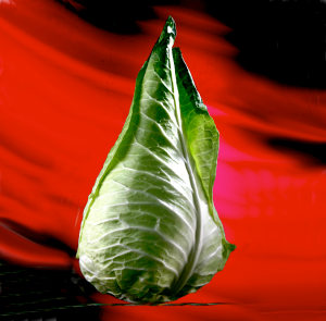 Infos zur Premiere des Spitzkraut-Classics-Traktor-Spezial am 24. Juli ...